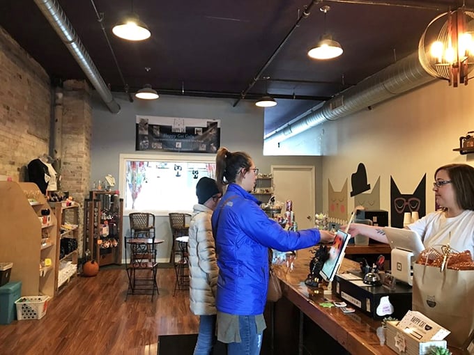 Caffeine, conversation, and cats &ndash; oh my! Happy Cat Cafe serves up a triple shot of joy for patrons seeking furry companionship.