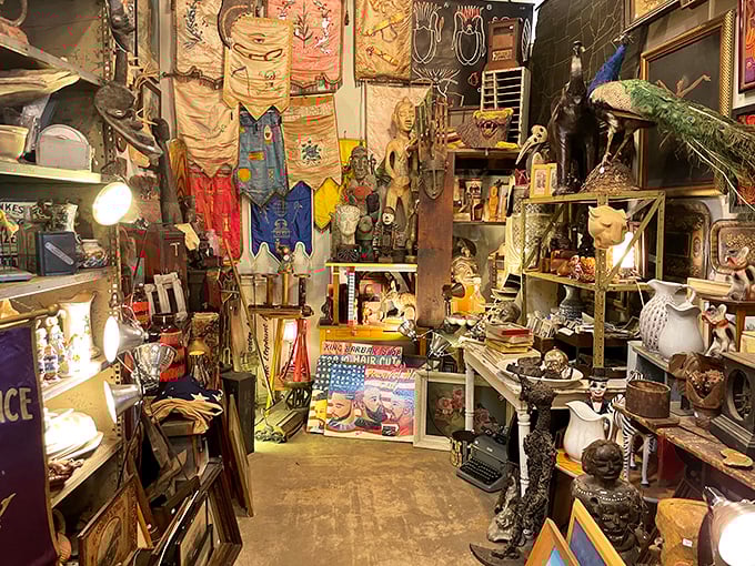 It's like your eccentric great-aunt's attic exploded, but in the best possible way. Vintage treasures and peculiar finds await at every turn.