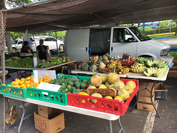 Nature's candy store on display! These fresh island fruits are so vibrant, they make a bowl of Froot Loops look like a black and white photo.