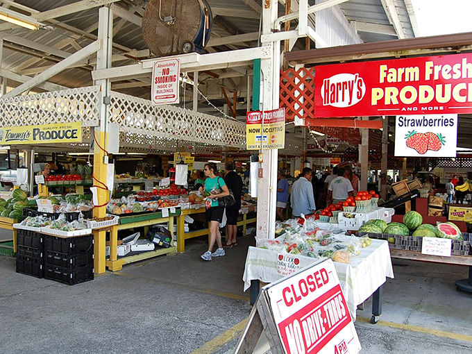 Farm-fresh flavors await! Harry's Produce stand is a cornucopia of colors and textures that would make even the pickiest eater consider becoming a vegetarian.