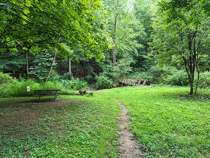 A green cathedral: Towering trees create nature's own meditation space. It's like yoga class, minus the awkward poses and sweaty mats.