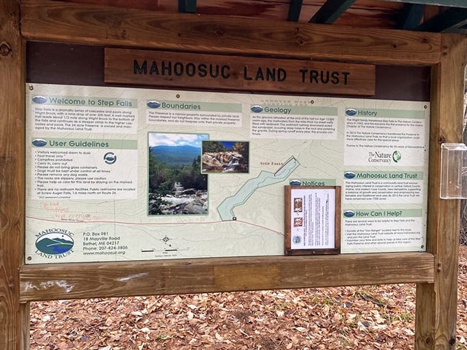 Knowledge is power, hikers! This info board is like Cliff's Notes for your adventure - minus the literature, plus more trees.