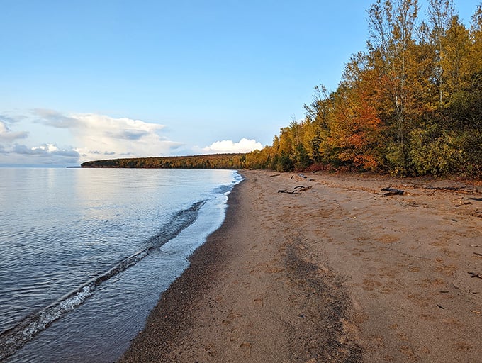 Autumn's grand finale at Meyers Beach. Mother Nature's showing off her fall wardrobe, and we're here for this lakeside fashion show.