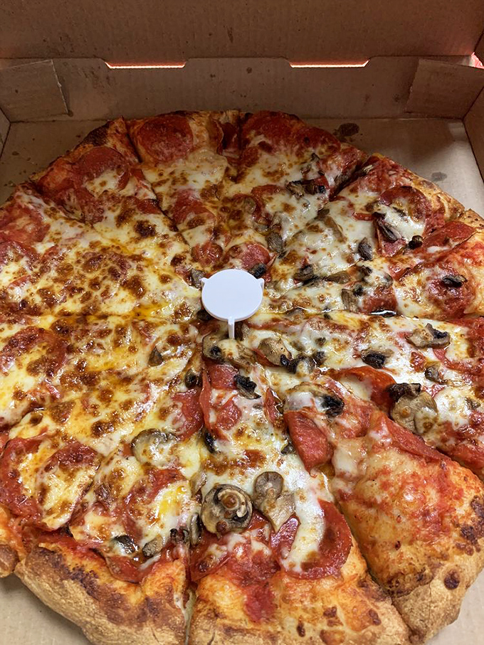 This isn't just a pizza, it's a cheesy disc of delight. Loaded with toppings and oozing with flavor, it's the kind of pie that would make even the Teenage Mutant Ninja Turtles jealous.