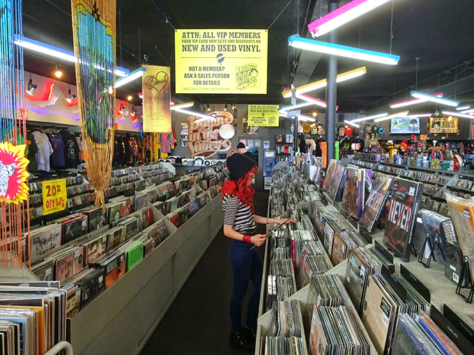 Vinyl lovers, rejoice! This record collection is so extensive, you might need to clear your schedule for the week.