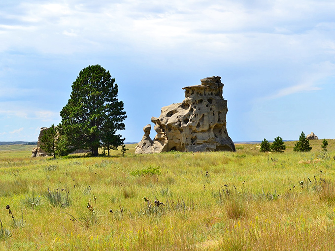 Looks like the set of a sci-fi western! Half expecting a cowboy to ride out from behind that otherworldly rock formation.