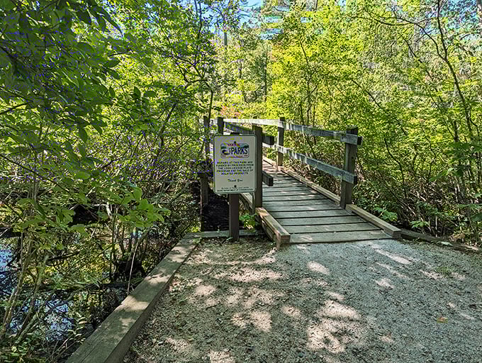 Bridge over not-so-troubled waters. This charming walkway invites you to cross into a world where deadlines and emails cease to exist.