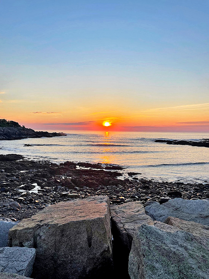 Mother Nature's paintbrush at work. This sunset could give Bob Ross a run for his "happy little trees" money.