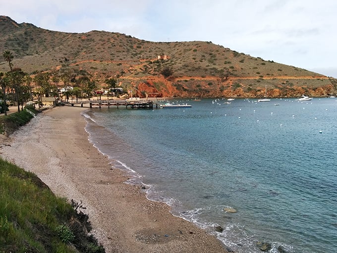 Seaside serenity: Two Harbors' tranquil waters and rugged coastline offer a slice of unspoiled California. It's like Big Sur, but with better cell reception.