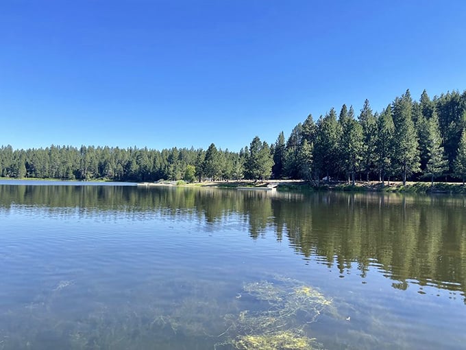 Serenity now! Winchester Lake's glass-like surface is nature's chill pill, perfect for washing away your weekday woes.