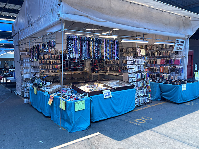 Accessorize your life! This glittering display is like a pirate's chest of baubles and bling, minus the pesky curse.