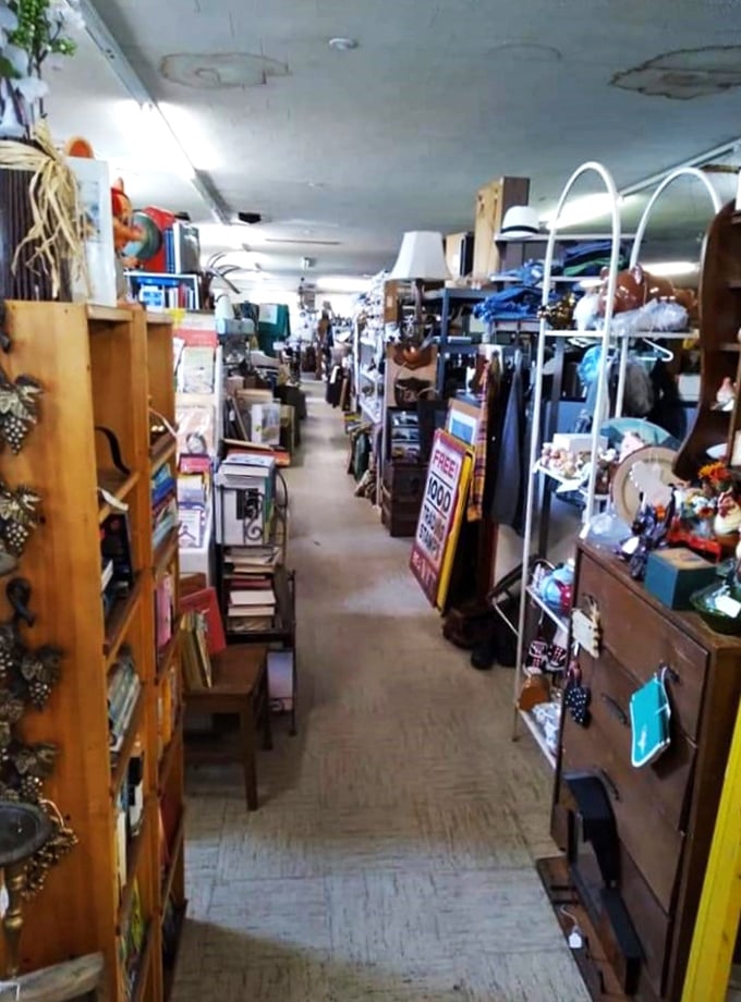 Down the rabbit hole we go! This narrow passage is a portal to the past, lined with curiosities that would make Alice herself dizzy.