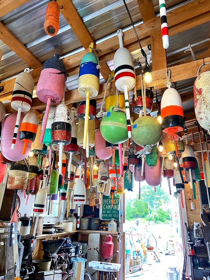 Buoy oh buoy! This colorful collection of nautical knick-knacks is like a cheerful chorus line of seafaring memories.