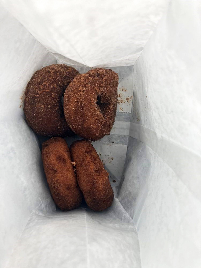Golden-brown perfection in a bag. These apple cider donuts are the reason stretchy pants were invented.