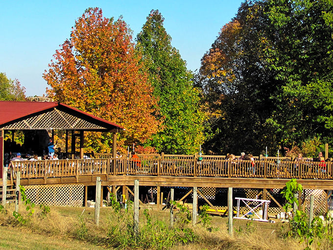 All aboard the boardwalk express! Makanda's wooden walkway is like a runway for small-town charm, connecting shops and hearts with every creaky step.