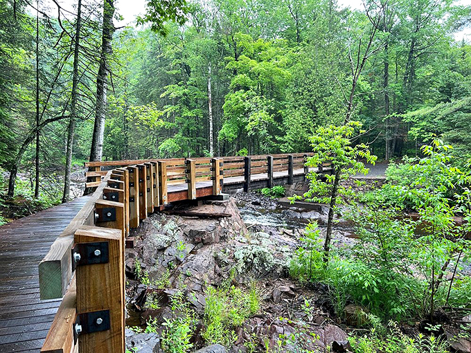 "Bridge over not-so-troubled water." This sturdy walkway invites you to pause and soak in nature's symphony.