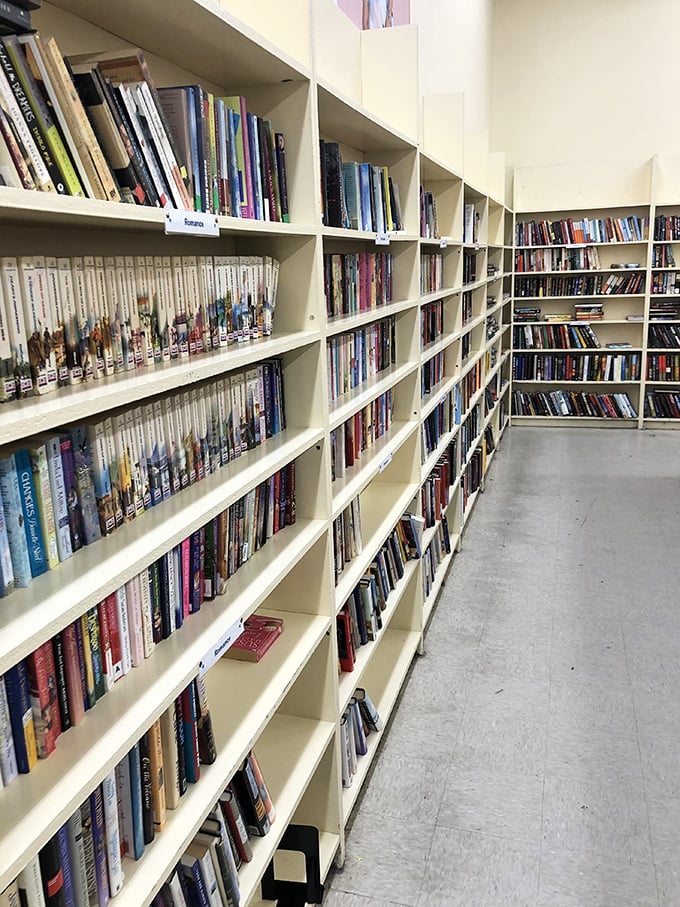 Bookworms, rejoice! This literary labyrinth is packed with enough tomes to make your local librarian jealous. Time to dust off that library card!