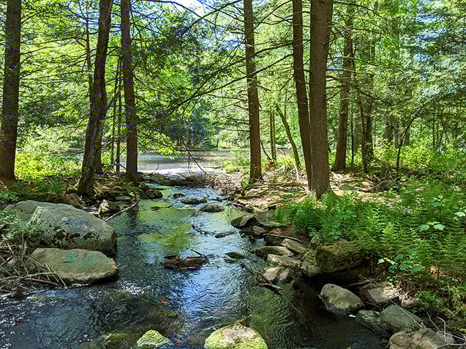Nature's own spa day! This babbling brook is more soothing than any white noise machine you'll find at Bed, Bath & Beyond.