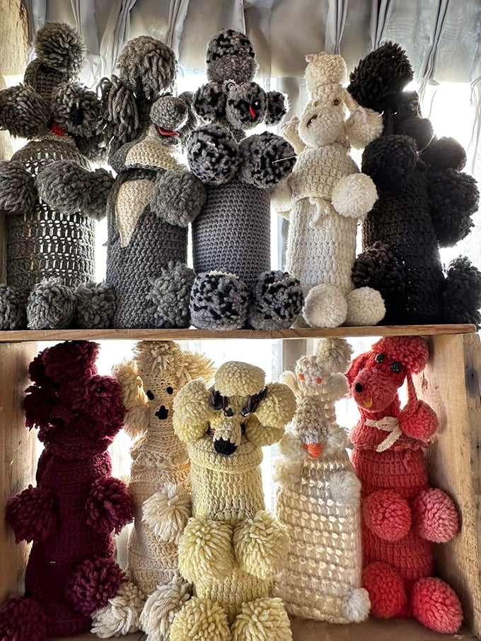 These dapper poodles prove that yarn can be man's best friend too. With their fluffy coats and soulful eyes, they're giving the Westminster Dog Show a run for its money!