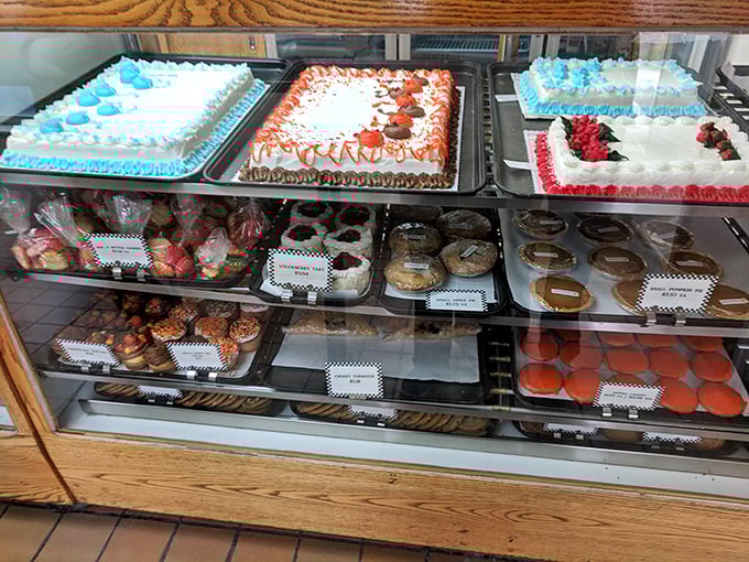 Feast your eyes on this display of doughy delights! It's like a museum of edible art, where every piece begs to be "appreciated" with your taste buds.