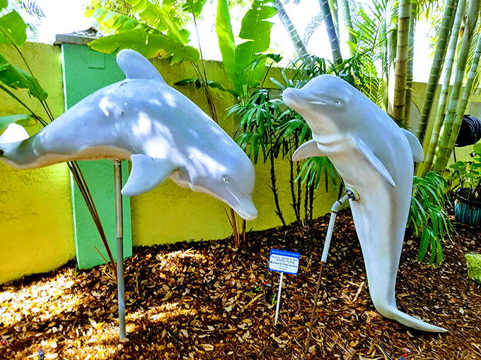 These dolphins are having way too much fun. It's like they're auditioning for the aquatic version of "Dancing with the Stars" &ndash; and nailing it!