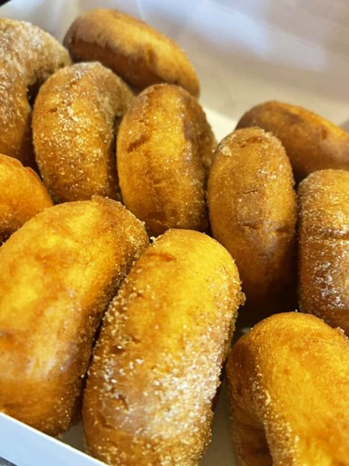 Golden rings of joy! These apple cider donuts aren't just a treat; they're edible sunshine dusted with cinnamon-sugar memories.