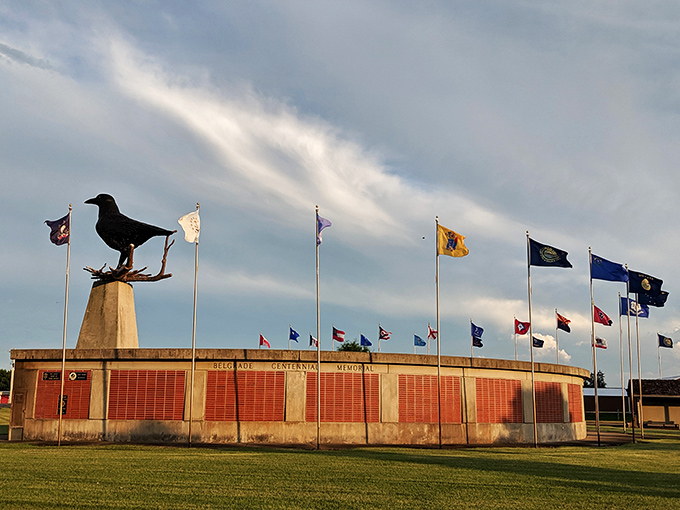 A patriotic panorama surrounds our feathered friend. It's like the United Nations, but with more bird puns.