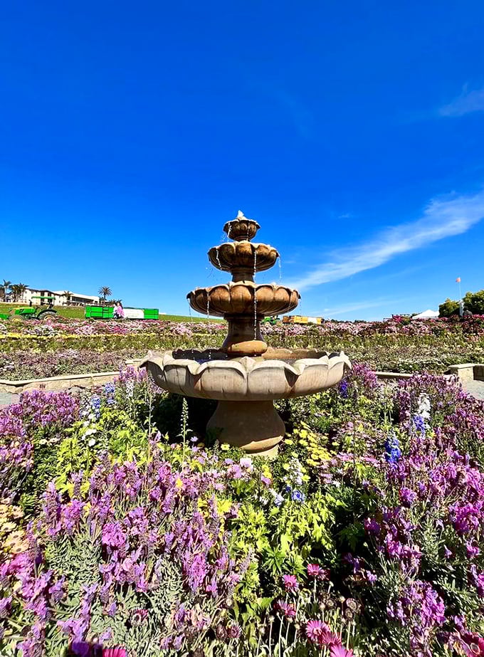 A fountain of flowers? This ornate water feature takes center stage, surrounded by a supporting cast of vibrant blooms. It's nature's own Broadway show!