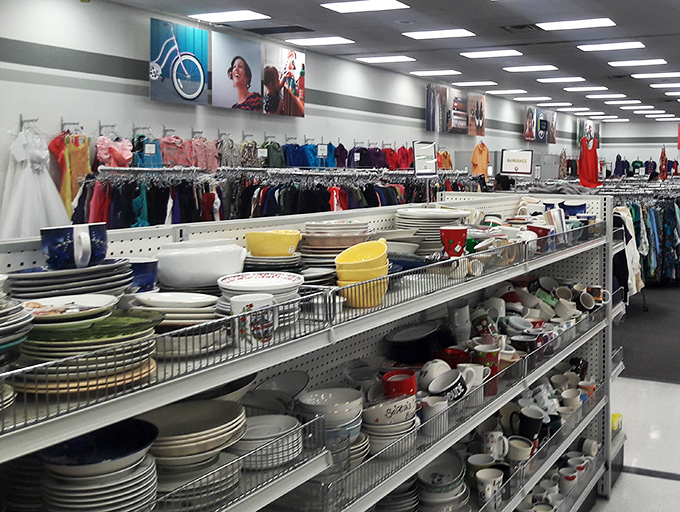 "Plates, pots, and peculiar kitchen gadgets galore! It's like your grandma's kitchen exploded... in the best way possible."