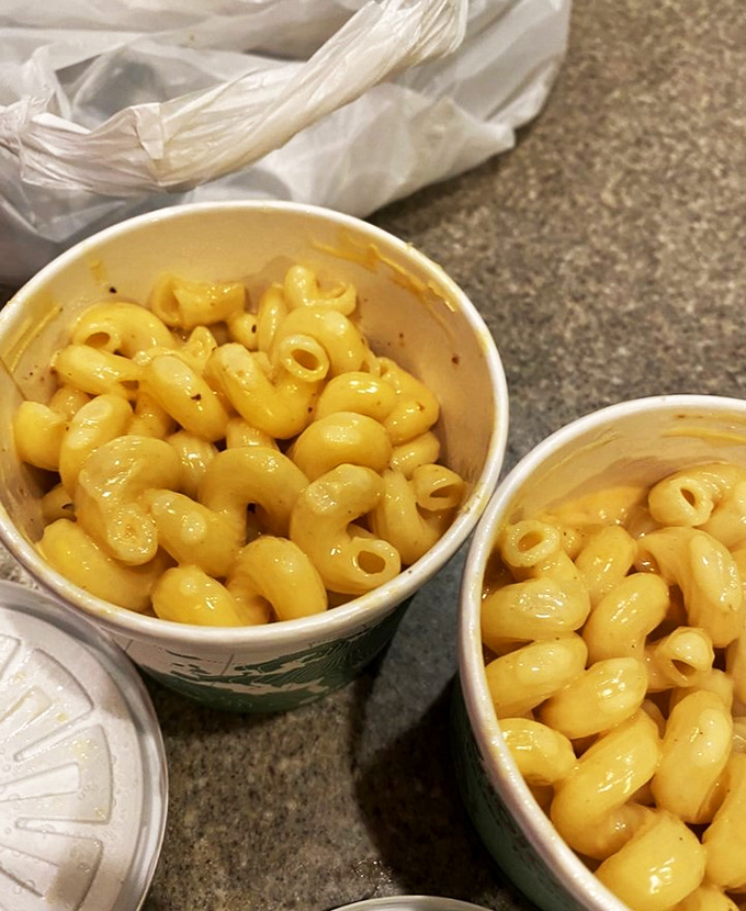 Cheesy does it! This mac and cheese is so creamy and golden, it could make the sun jealous of its glow.