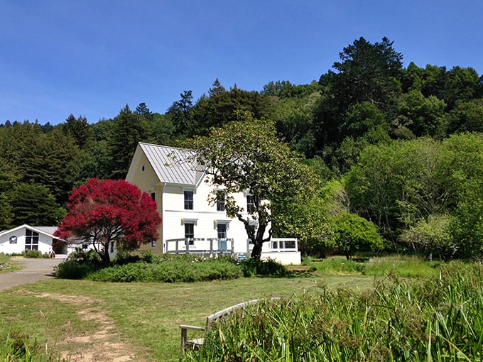 A farmhouse straight out of a Norman Rockwell painting, if Norman had a thing for redwoods and laid-back California cool.