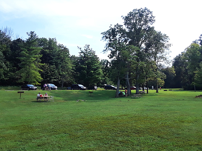 Picnic perfection! This grassy oasis is the ideal spot for spreading out your checkered blanket and channeling your inner Yogi Bear. Just watch out for pic-a-nic basket thieves!