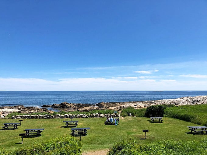 Picnic paradise found! Ocean views and grassy knolls make this spot the al fresco dining room of your dreams. Just watch out for seagull food critics!