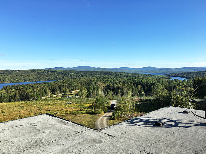 Room with a view! From up here, you can almost see the orgone energy flowing through the trees. Almost.