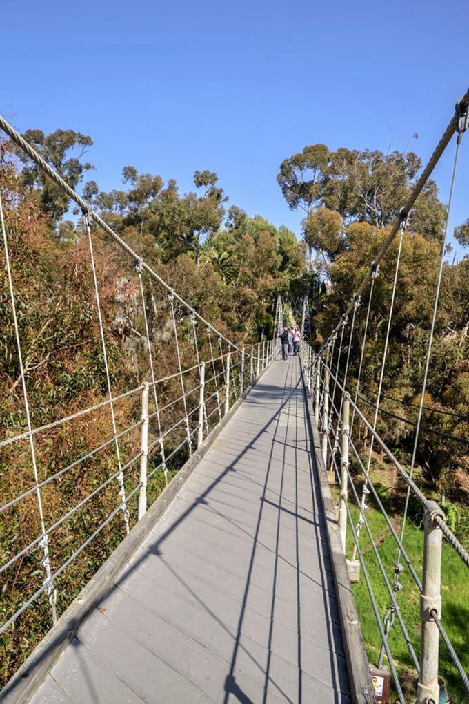 Suspended in time and space, this bridge is like a tightrope for the slightly less daring. Indiana Jones would be proud!
