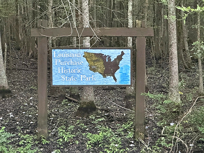 Ah, the classic "You are here" moment, swamp edition. This sign is your passport to a world where alligators might be your new neighbors.