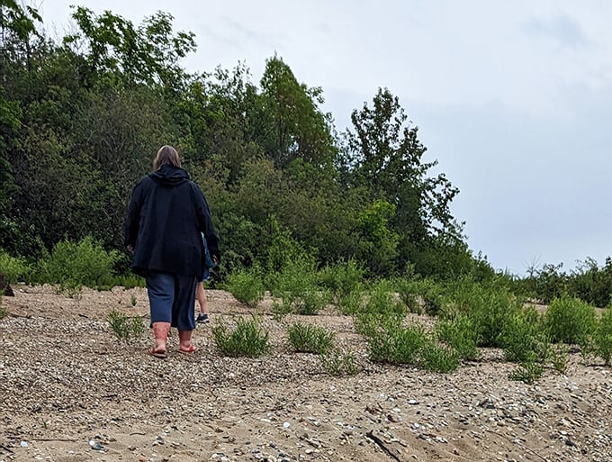 Beachcomber's paradise: Where every step is a potential discovery. Just remember, those "lucky stones" might be someone else's skipping rocks in disguise!