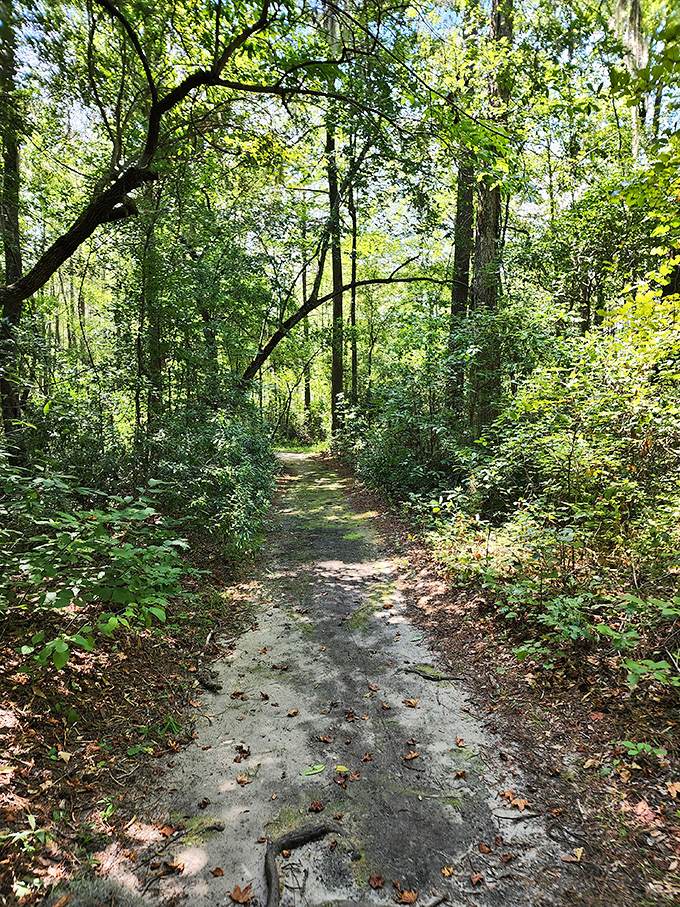 Indiana Jones, eat your heart out. This trail promises adventure without the boulder chases or snake pits. Unless you count the occasional curious squirrel.