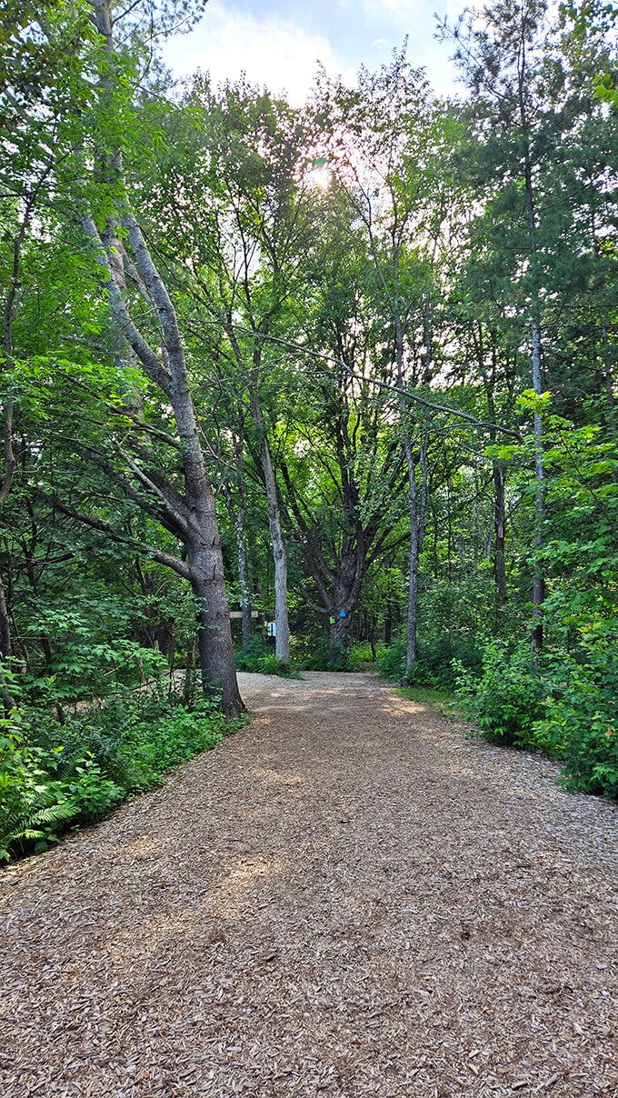 Follow the yellow brick... er, wood chip road! This enchanted trail leads to whimsical wonders that would make even Dorothy do a double-take.