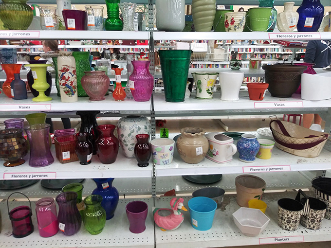 Vase-t opportunities await! This colorful collection could turn any amateur into a floral arranging maestro overnight.
