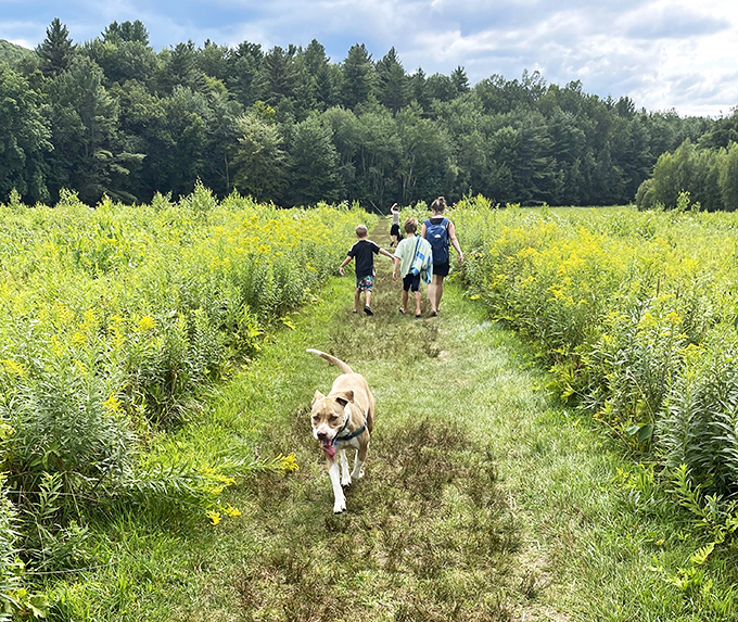 Follow the yellow brick&hellip; trail? This golden path through wildflowers isn't oz, but it's certainly wonderful. Dorothy would approve of these ruby-red sneakers.