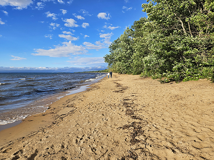 Who needs a treadmill when you've got this runway? Brimley's beach: where every step is a stride towards serenity.