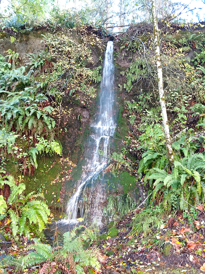 Mother Nature's own shower system: This hidden waterfall is like stumbling upon the Fountain of Youth in fern-covered form.