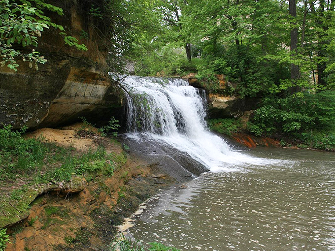Hidden waterfall oasis: Nature's own spa day. Close your eyes, and you might mistake that rushing water for your neighbor's lawn sprinkler gone rogue.