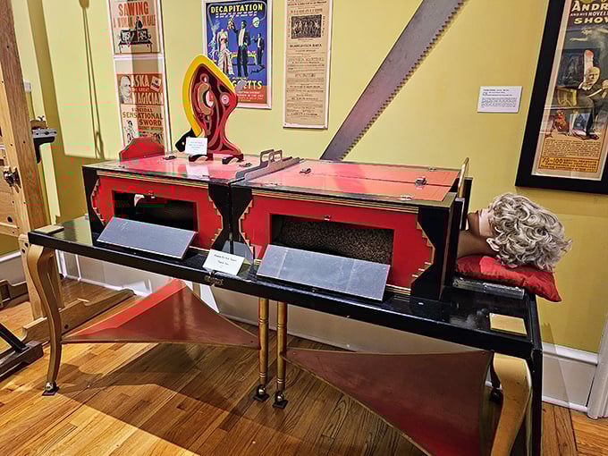 Abracadabra! This magical museum will have you believing in the impossible faster than you can say 'Is this your card?'