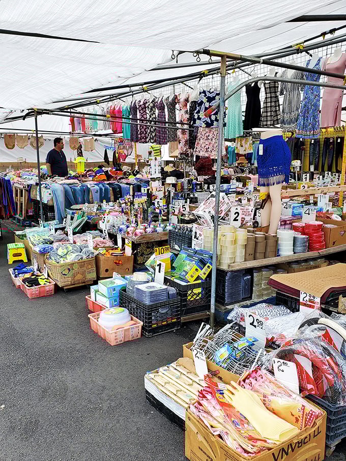 AquaDuck FleaMarket: Dive into a sea of curiosities without getting wet. This indoor treasure trove is a bargain hunter's dream.