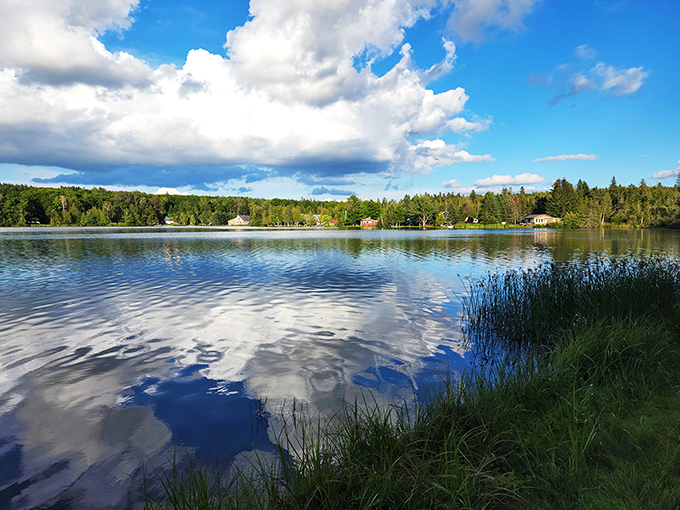 Aroostook's serene lake view: where pines stand guard and clouds paint ever-changing masterpieces.