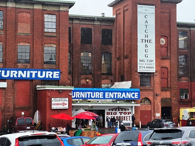 Step right up to the Big Top of bargains! This brick behemoth houses a circus of curiosities. No clowns, just countless collectibles!