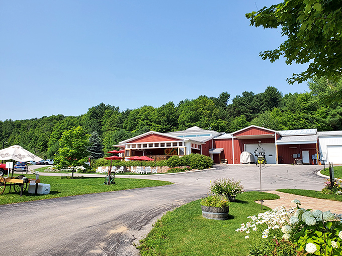 Black Star Farms: Wine country elegance meets Midwest charm! This grand estate could make even Mr. Darcy trade his tea for Chardonnay.