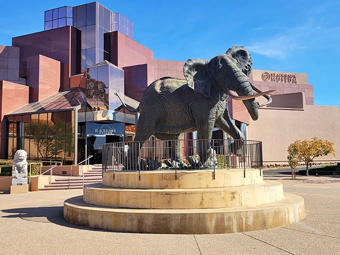 Who knew elephants could fly? This jumbo greeter sets the stage for a trunk-full of automotive treasures inside.